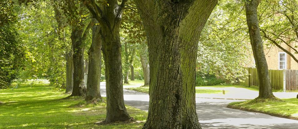 New Build Homes for sale in Fife, Scotland | Barratt Homes