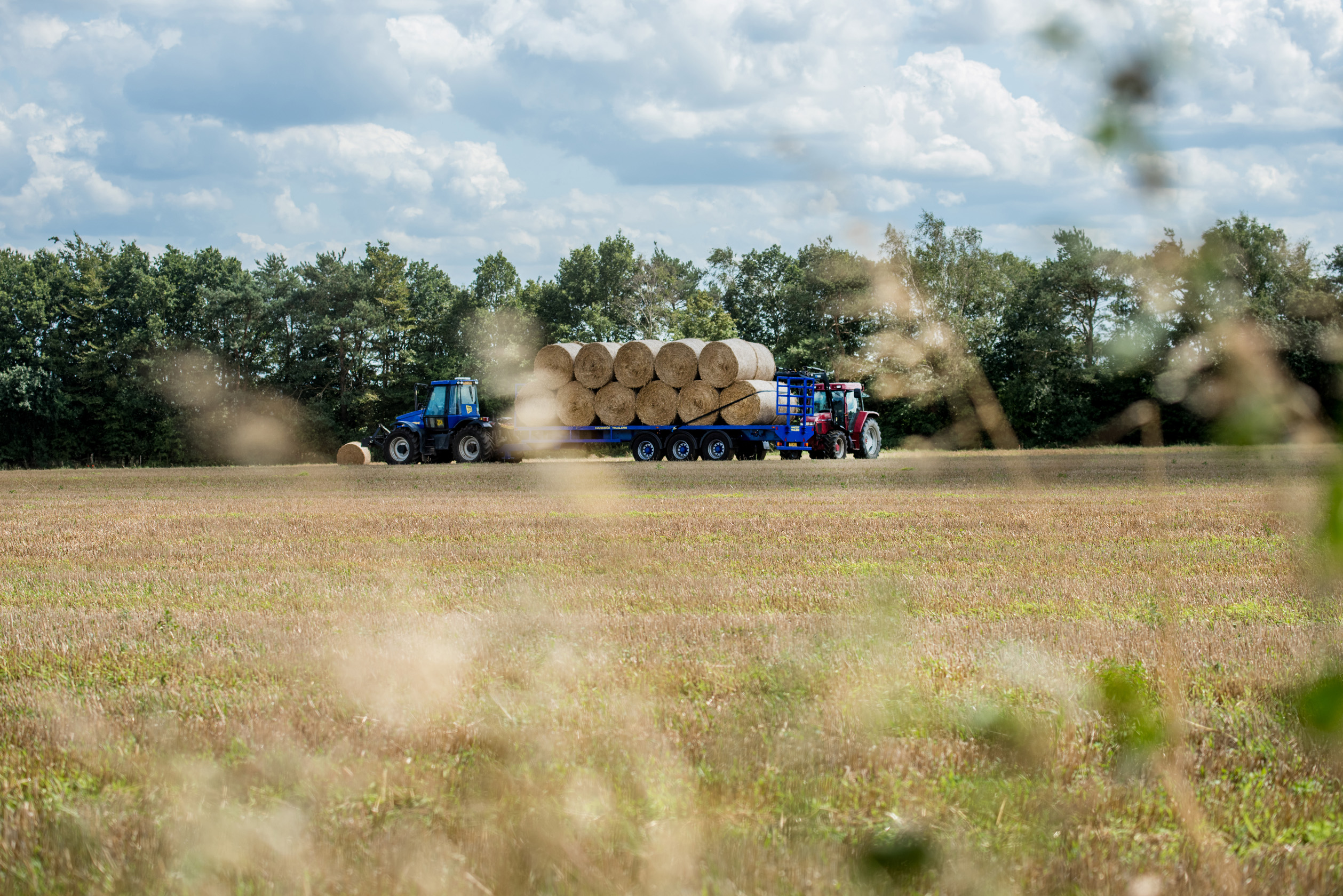 Wayland Fields Barratt