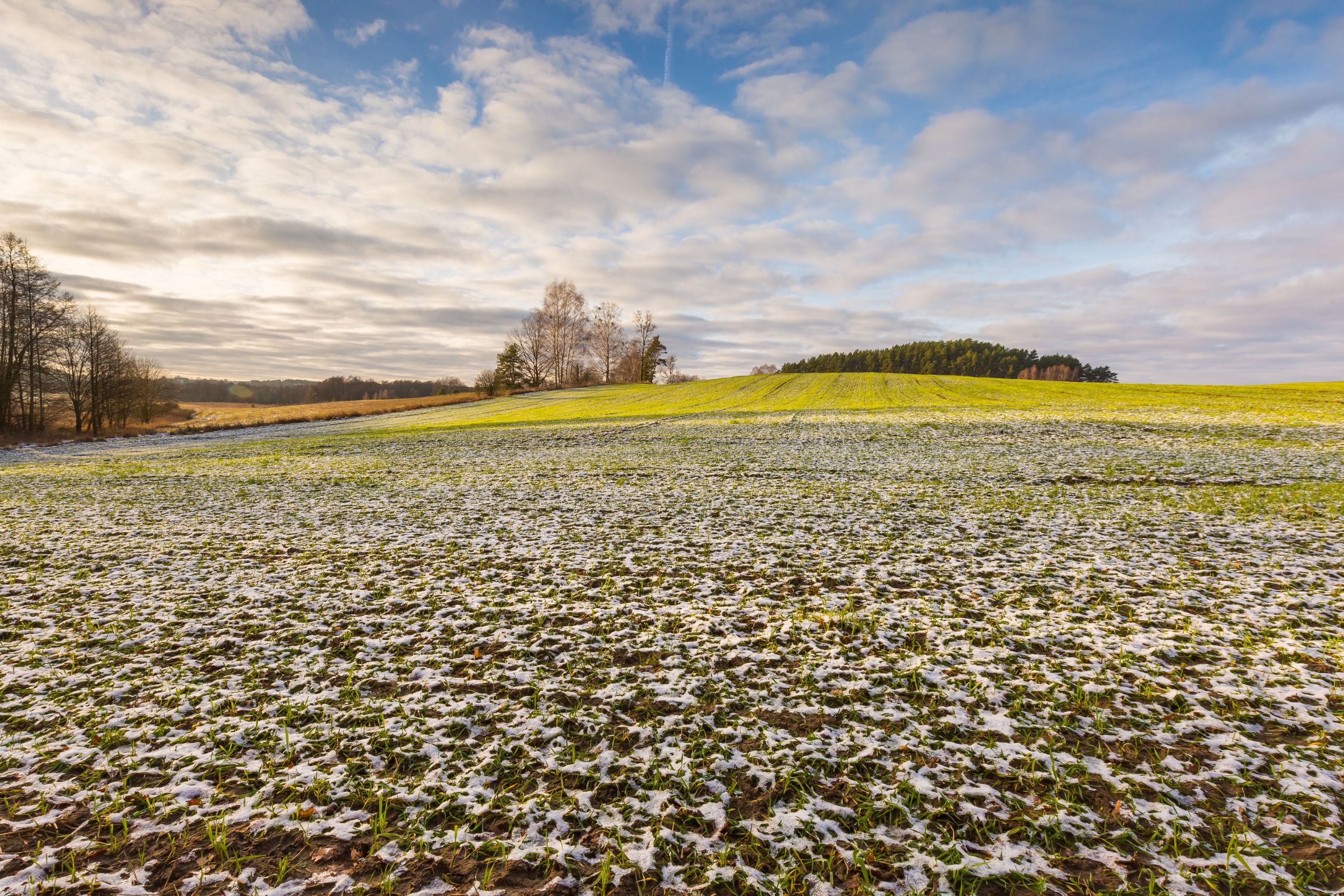 Cringleford Heights: New homes in Norwich, Norfolk | Barratt Homes