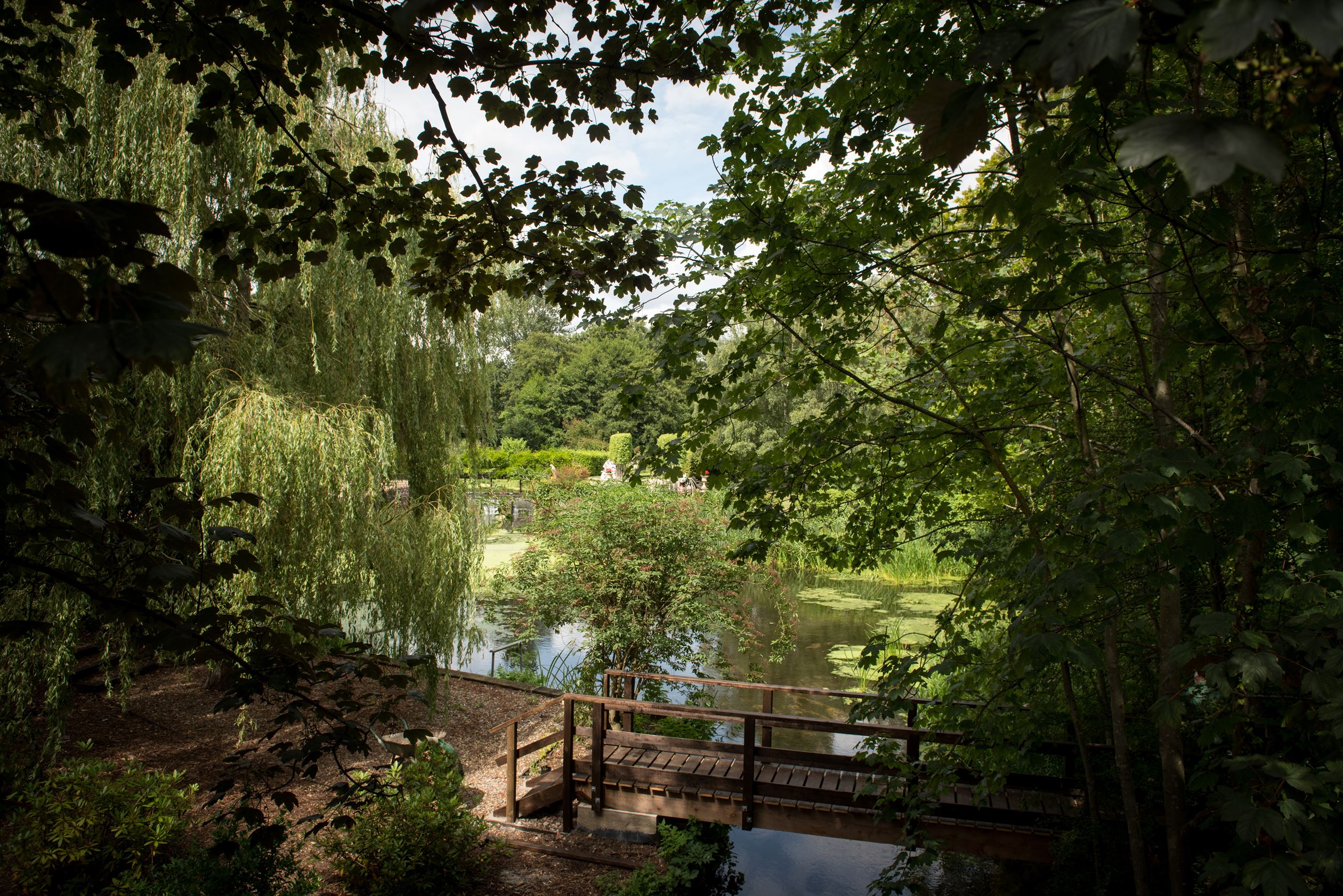 Cringleford Heights: New homes in Norwich, Norfolk | Barratt Homes