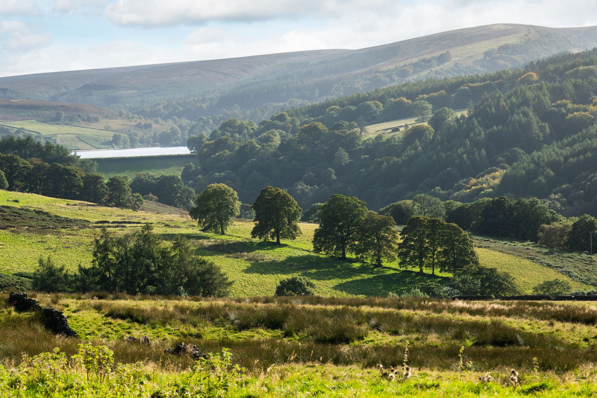 Midshires Meadow: New homes in Whaley Bridge, Derbyshire | Barratt Homes