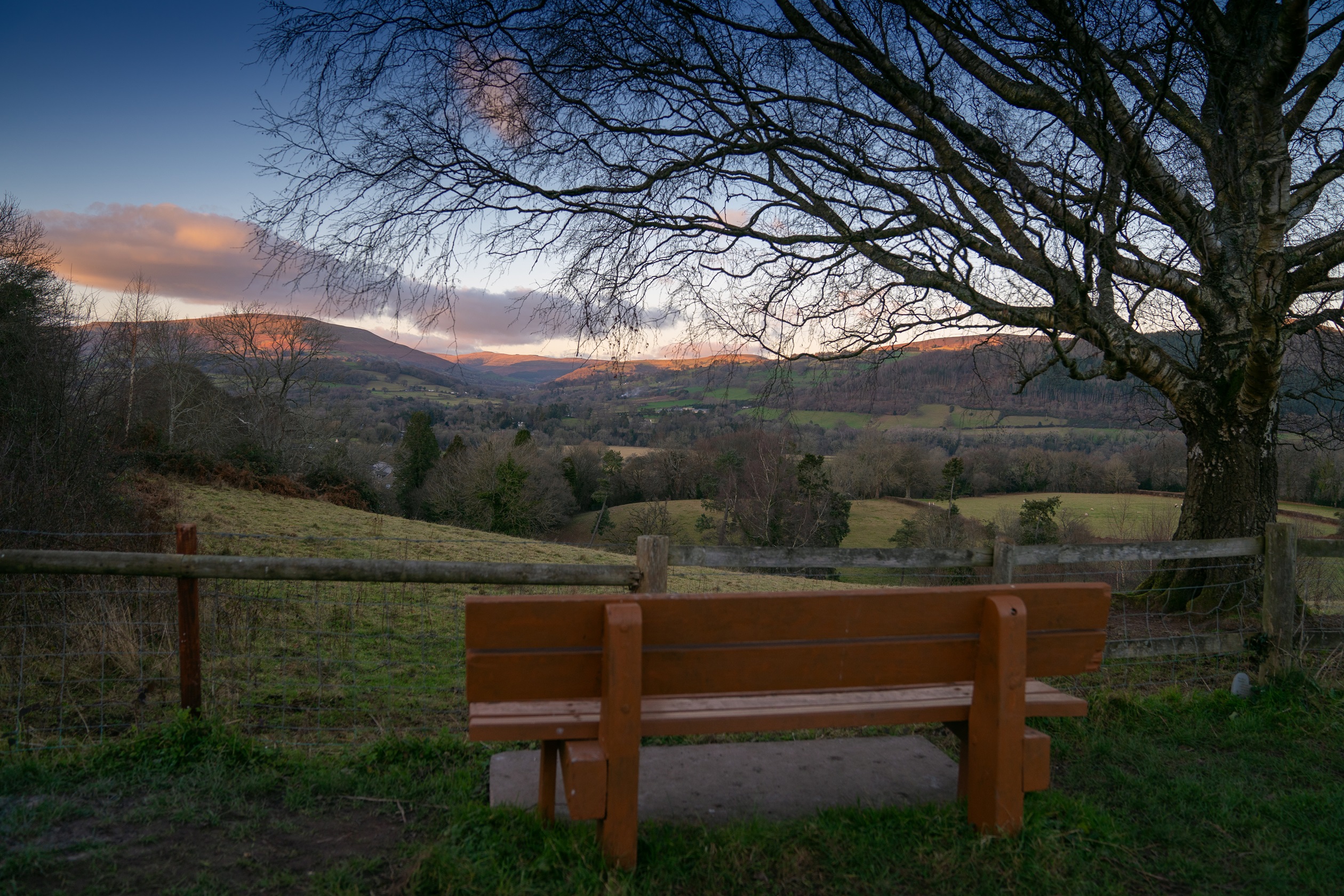 Holly View: New homes in Cwmbran, Torfaen | Barratt Homes