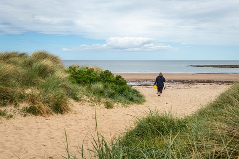 beach design morpeth