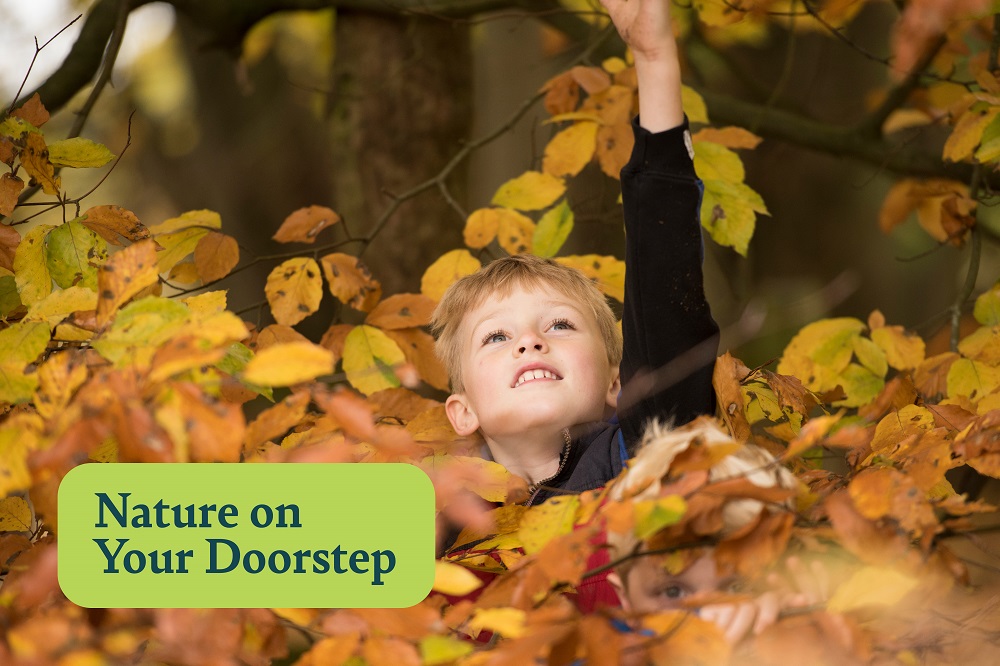 Giving nature a Barratt Homes | Barratt Homes