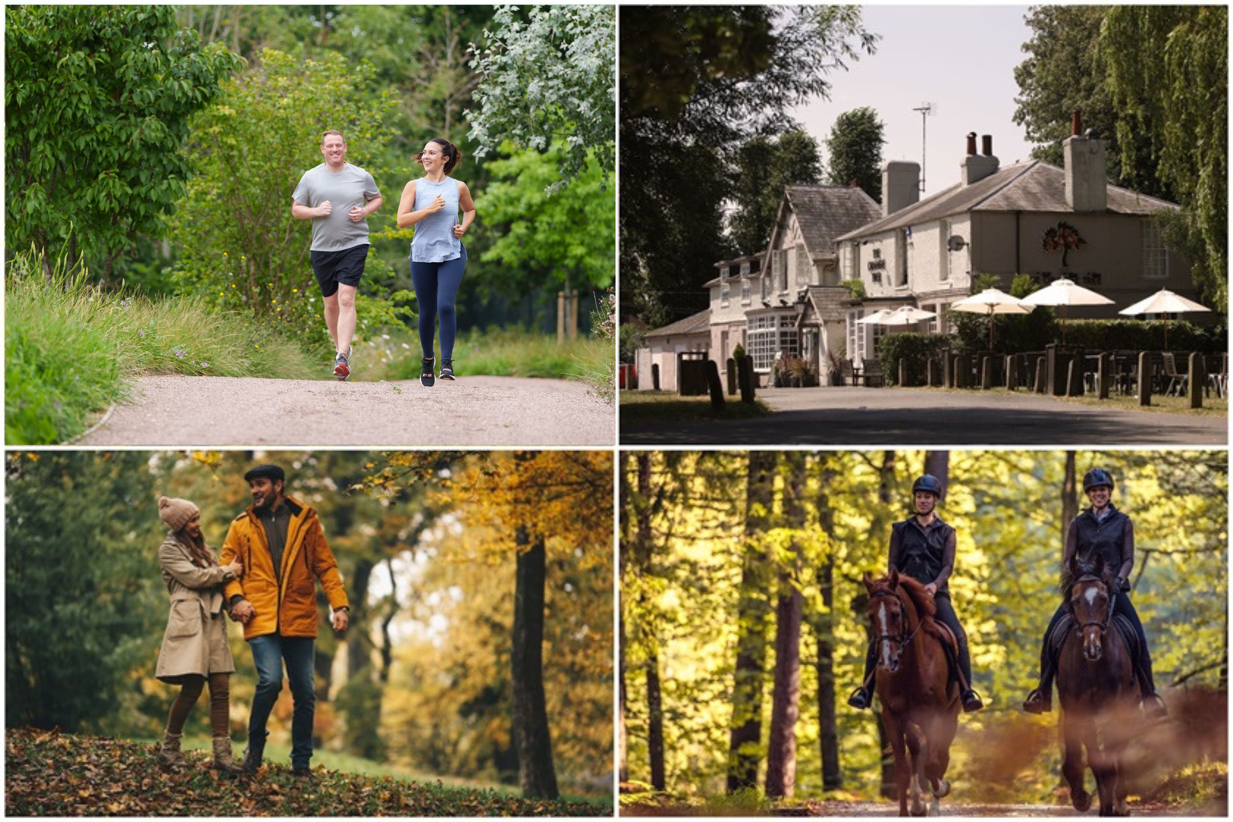 Ridgeway Views: New homes in Mill Hill, London | Barratt London