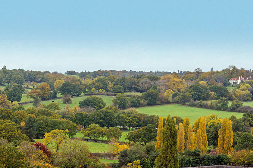 Ridgeway Views: New homes in Mill Hill, London | Barratt London